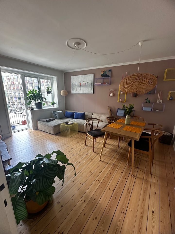 Cozy, Homely Apartment In The Center Of Copenhagen - Copenaghen