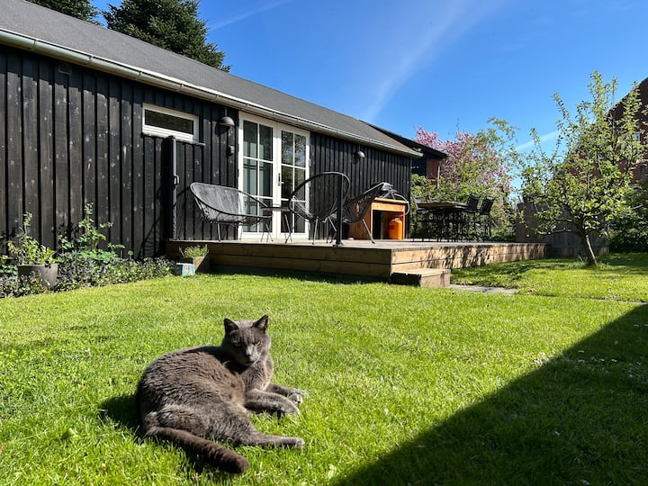 Almond Tree Cottage - Dania