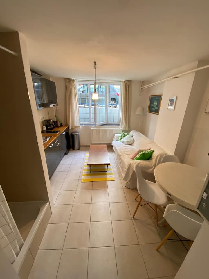 Cosy 30m2 Studio In St Gilles Family House - Brüssel Region, Belgien