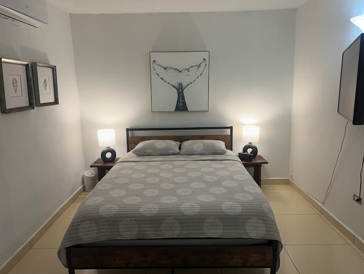B&m Apartment - Canovanas