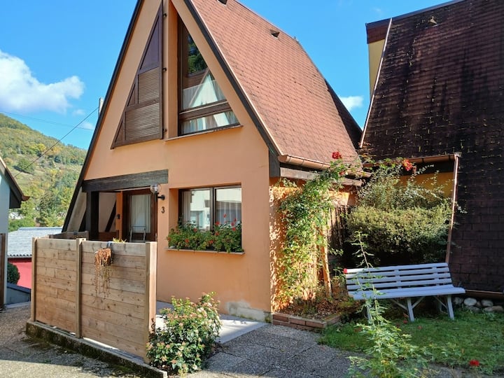 Gîte Pinot Blanc Fonctionnel + Terrasse & Parking - Kaysersberg