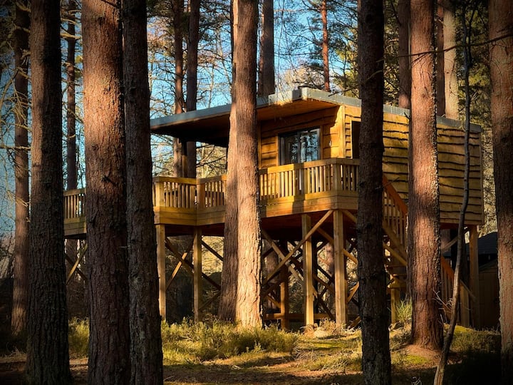 Treetops Tree House Eco Cabin Wildwoodz - Écosse