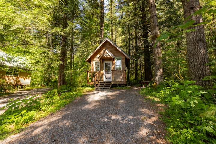 Snow Cabin At Mt Rainier - Ashford, WA