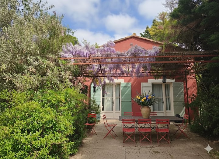 Gîte • Gauguin • 12 Personnes - Camargue