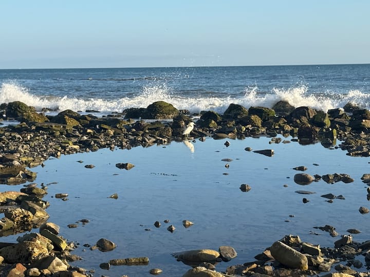 Dreamy Private Beach Guesthouse- 30+ Day Rental - Rancho Palos Verdes, CA