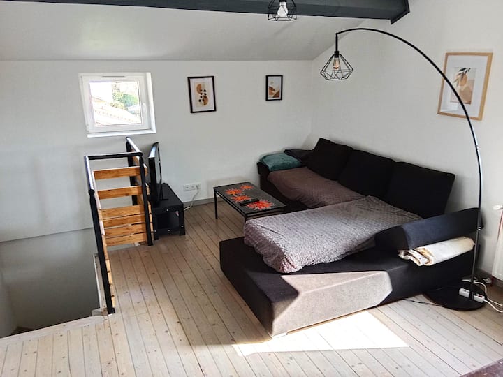 Charmant T3 Avec Entrée Privative - Ain