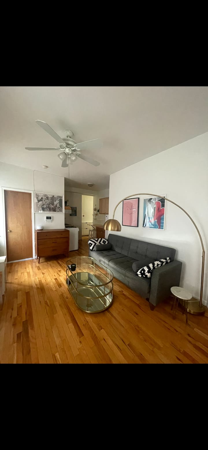 Stunning 1 Br In The Heart Of Chinatown/lil  Italy - New York City