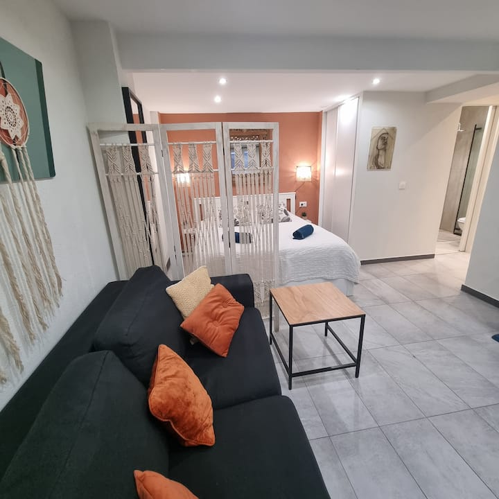 Spacious Studio Full Of Charm, Recently Updated - Parc Phœnix - Nice