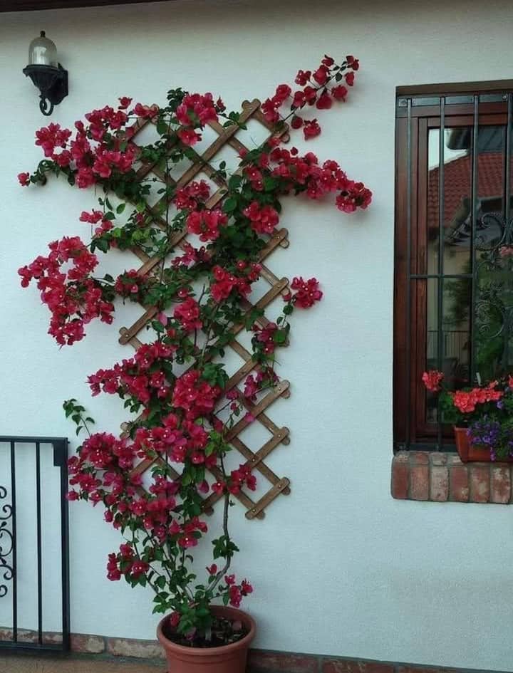 Muhteşem Dağ Manzaralı Ferah 1+1 Daire - Gökçeada