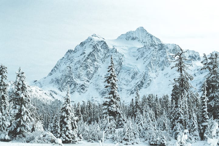 Sweet Home Alabama - Bellingham, WA