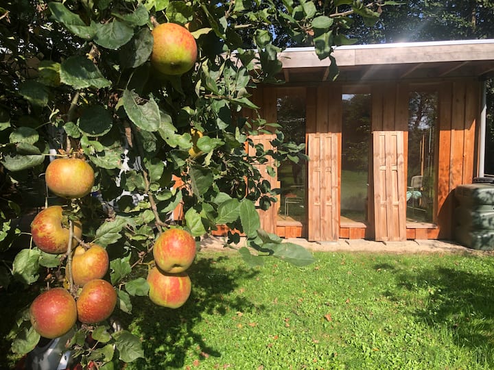 Tiny House Under The Apple Tree In Old Fruit Yard - Beuningen