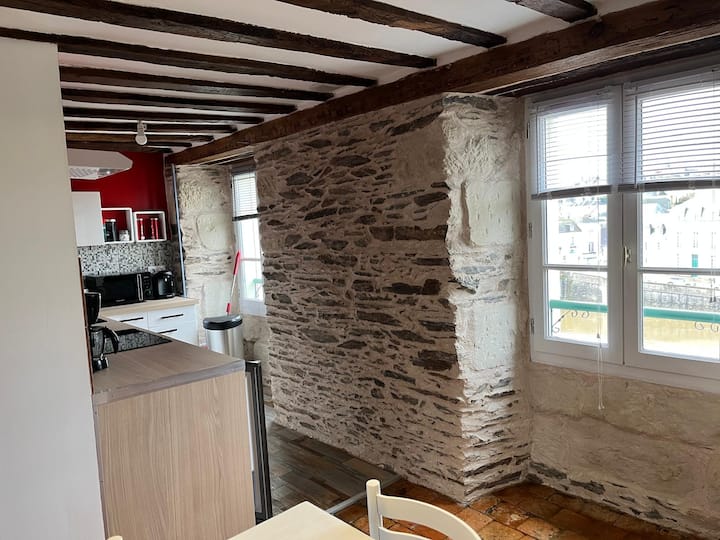 Appartement Authentique  - Vue Sur La Mayenne ! - Château-Gontier-sur-Mayenne