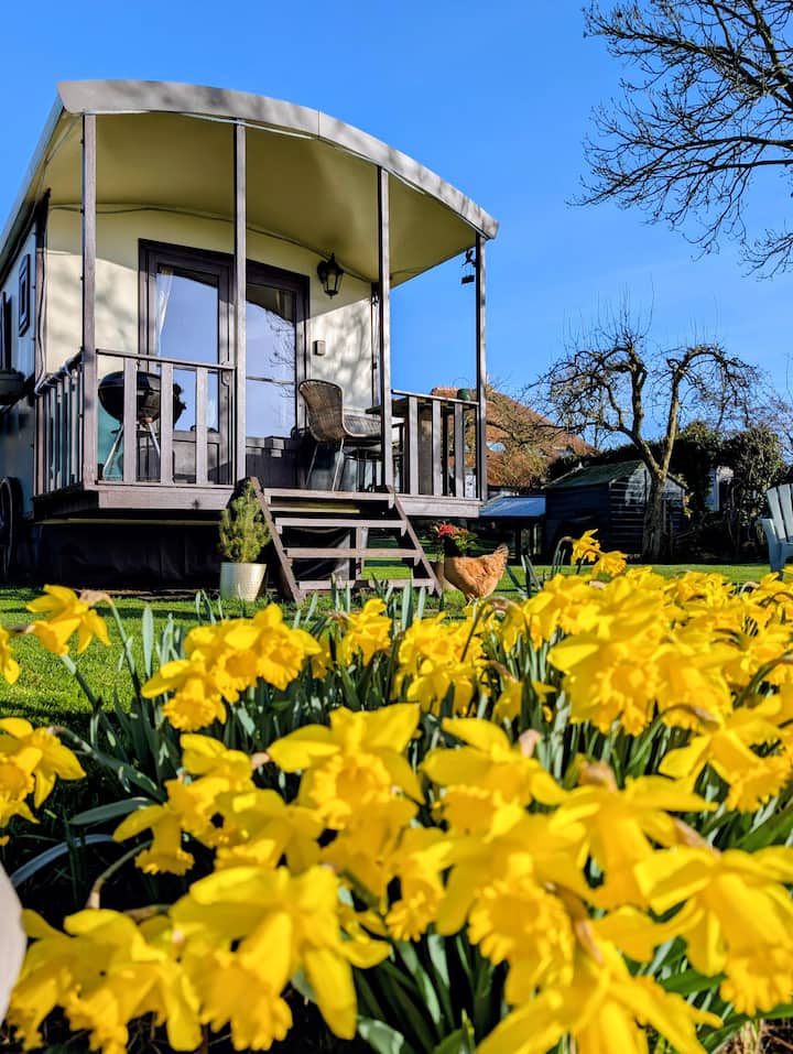 Vintage Pipowagen Met Badkamer, Jacuzzi & Zwembad - Netherlands