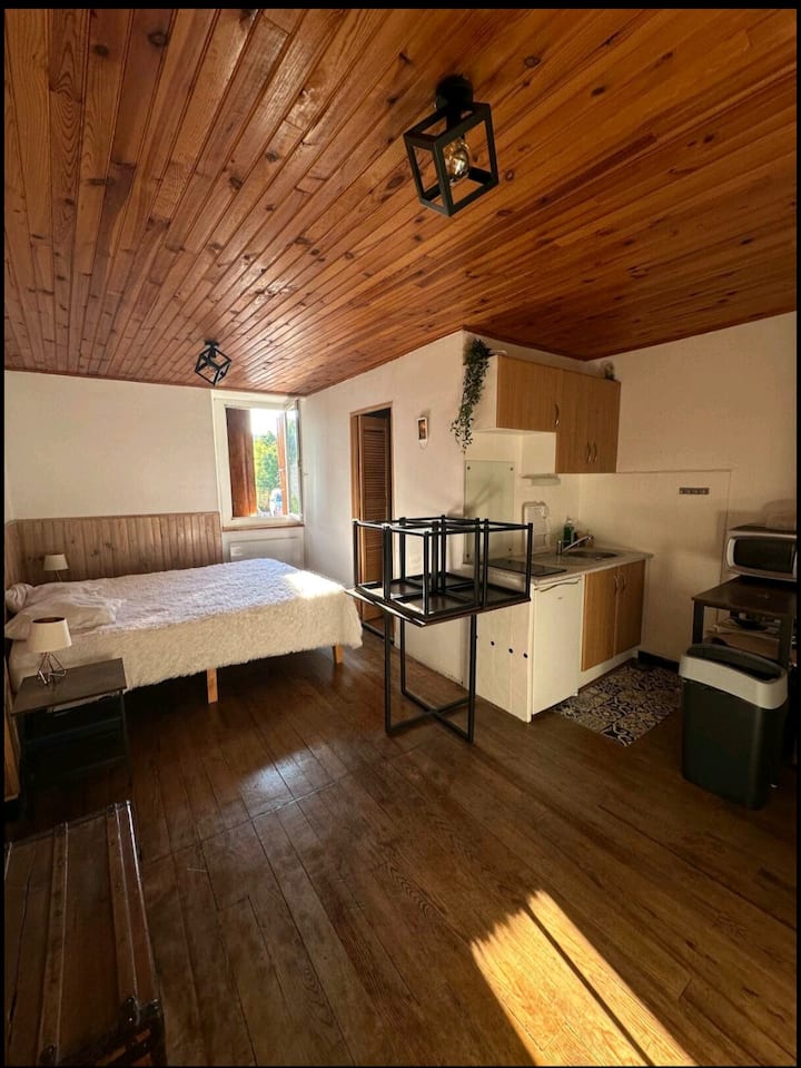 Studio Avec Lit Double - Llívia