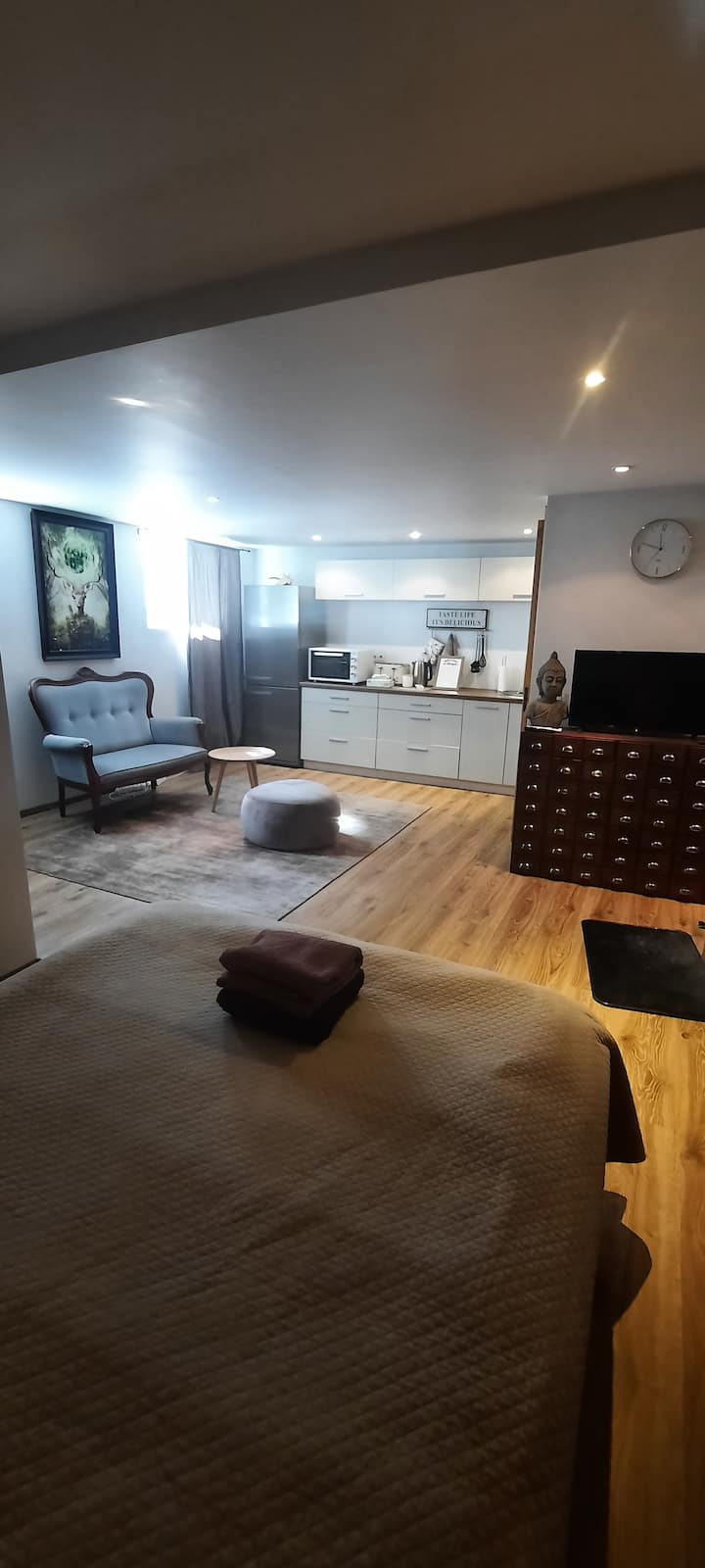 Cozy Private Apartment In A Perfect Location - Tallinn