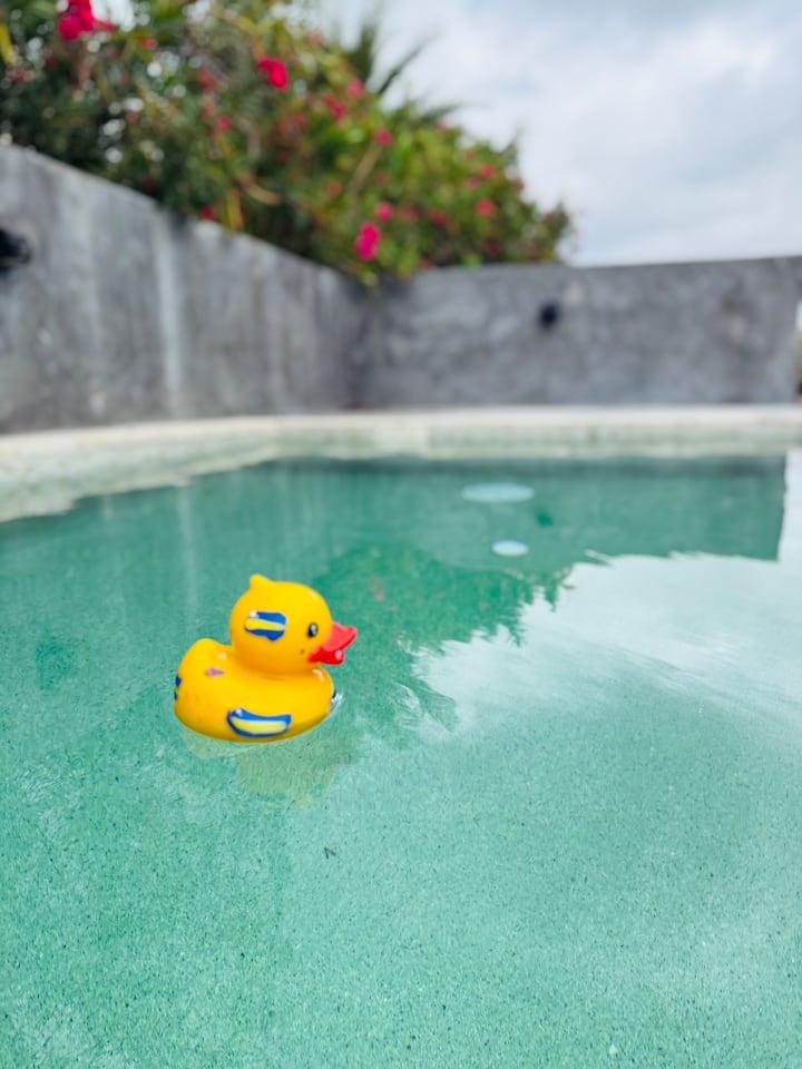 Private Pool + Garden | Walk To Beach & Nightlife - Curaçao