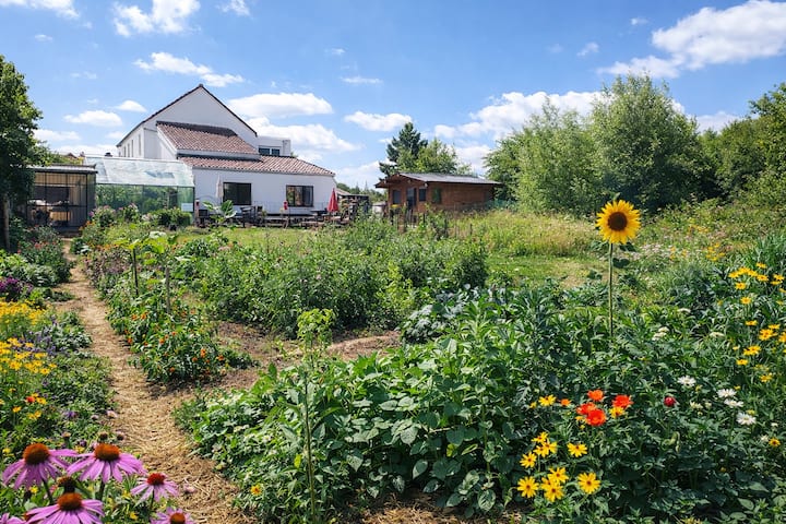 Grande Maison Familiale Avec Jardin Et Piscine - Ottignies-Louvain-la-Neuve