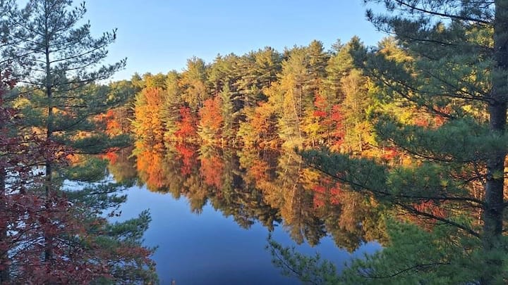 Waterfront @Muskoka Pines /Kayaks/bbq/firepit - Bracebridge