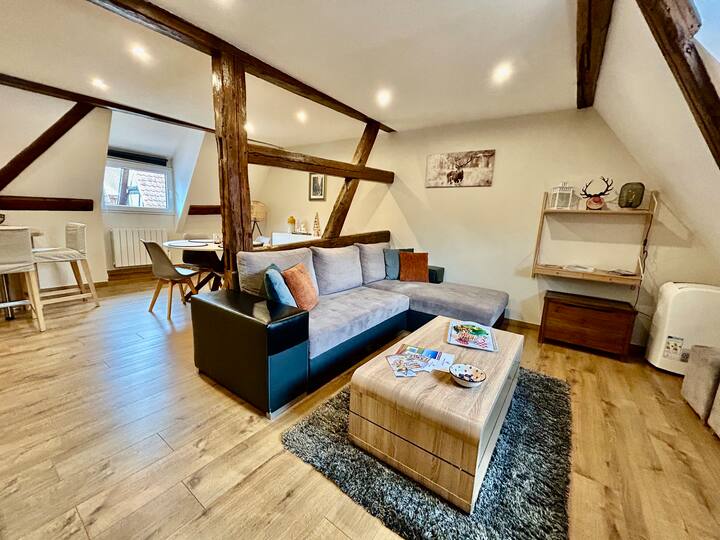 Les Toits Du Rempart ***, Au Cœur D'eguisheim - Alsace