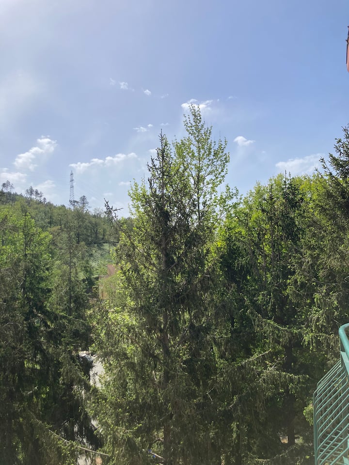 Una Casa In Pineta - Celle Ligure