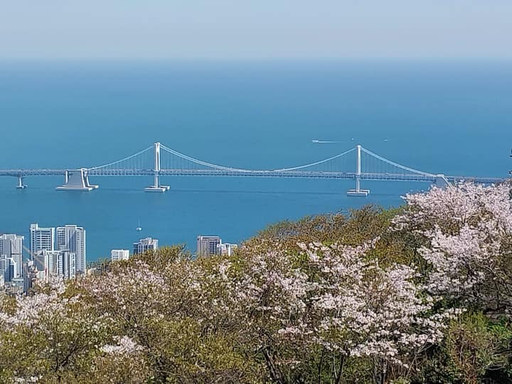 ※비아하우스※
¤ 광안리 해변이
보이는 5초컷 위치!
¤합법적 레지던스 
¤주차타워무료주차 - Busan