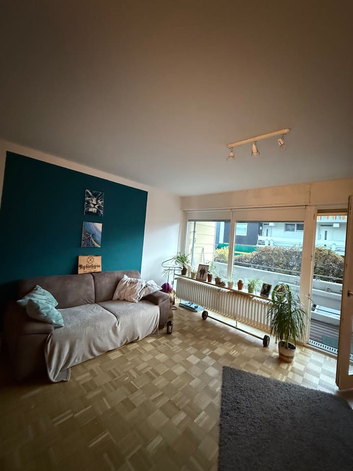 Apartment Im Künstlerstyle Braunschweig - Braunschweig