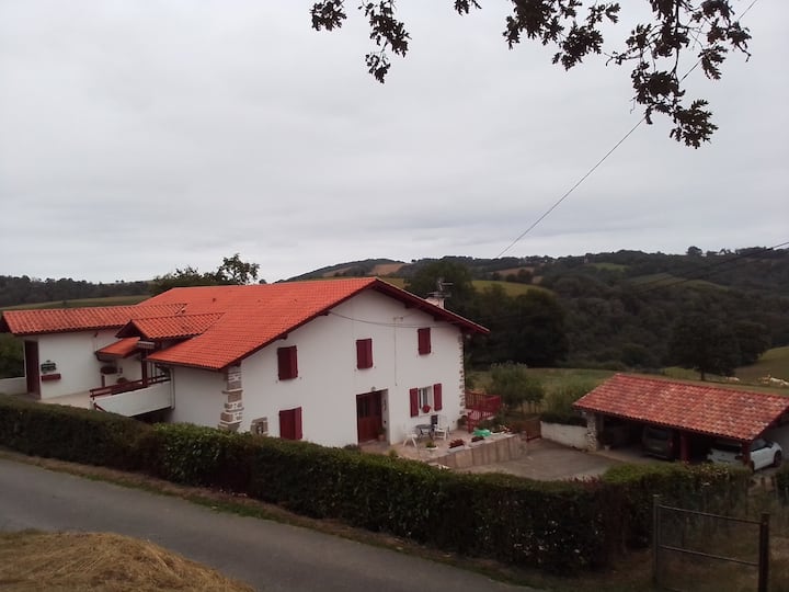 Superbe Appartement à La Campagne. - Pays basque français