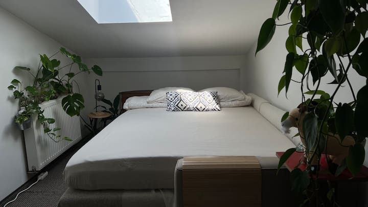 Sunny Room In Old Town Center - Poznań