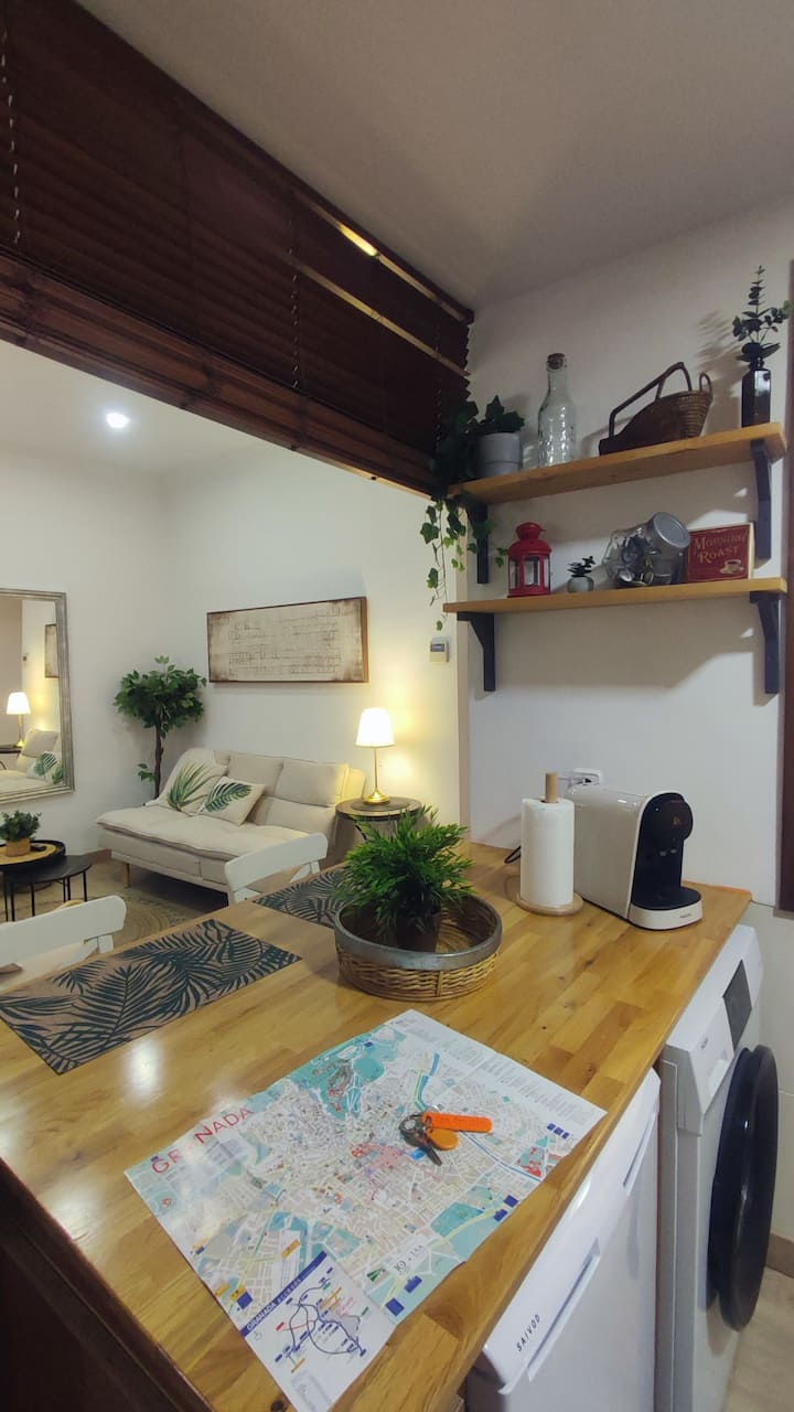 Céntrico Y Acogedor  Piso A Espaldas De Catedral - Granada