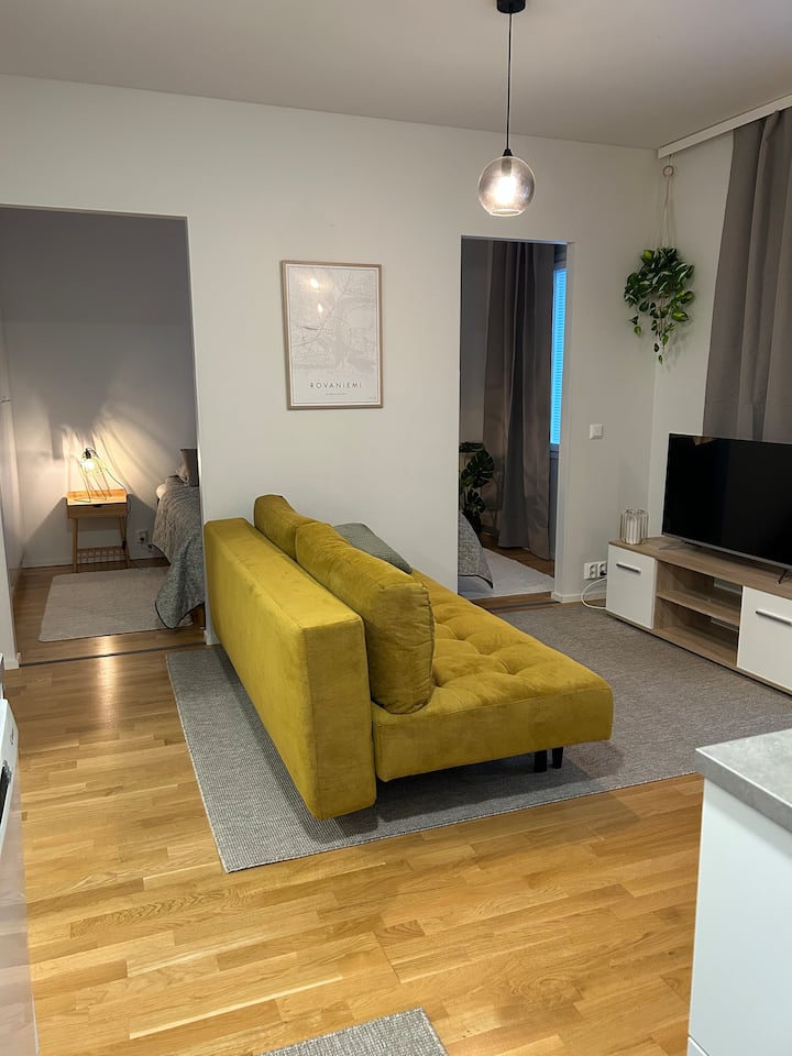 Stylish Scandinavian Condo In The City Center - 羅瓦涅米