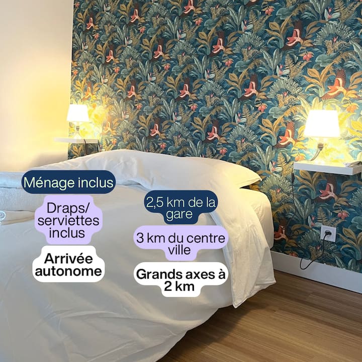 Charmant T1 Bis à Vannes - Vannes