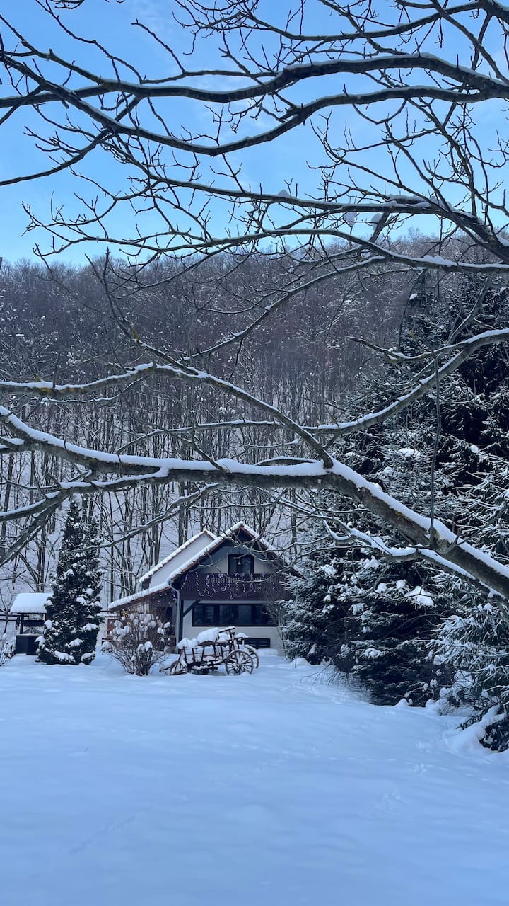 Cottage By The River Valea Draganului - Roma