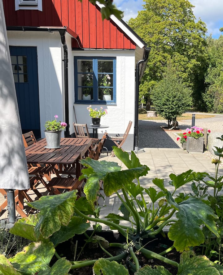 Underbart Boende 250m Från Sandstrand På ÖSterlen - Simrishamn