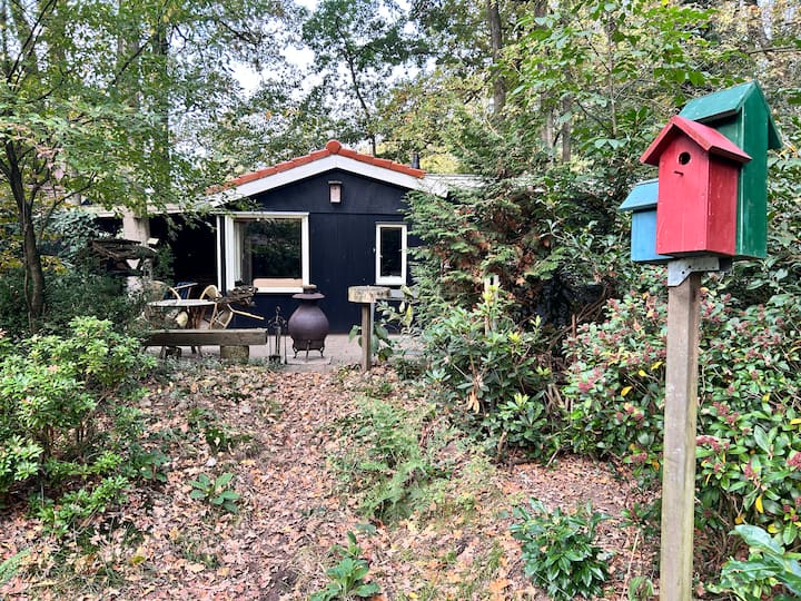 Kom Tot Rust In Dit Twentse Boshuis (Omheind) - Tubbergen