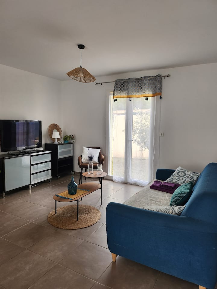 Villa Piscine Clim En Camargue - Bellegarde