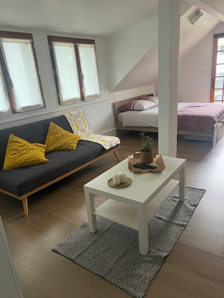 Logement Entier Studio 40m2 à Côté De Orly/massy - Chilly-Mazarin