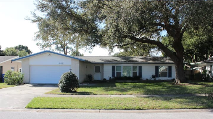 Lovely 3br/2bath Fenced Yard Walk2 Eagle Lake Park - Dunedin, FL
