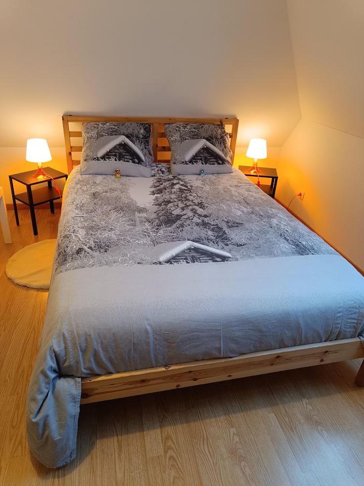 Chambre En Duplex Avec Commodités - Estrasburgo