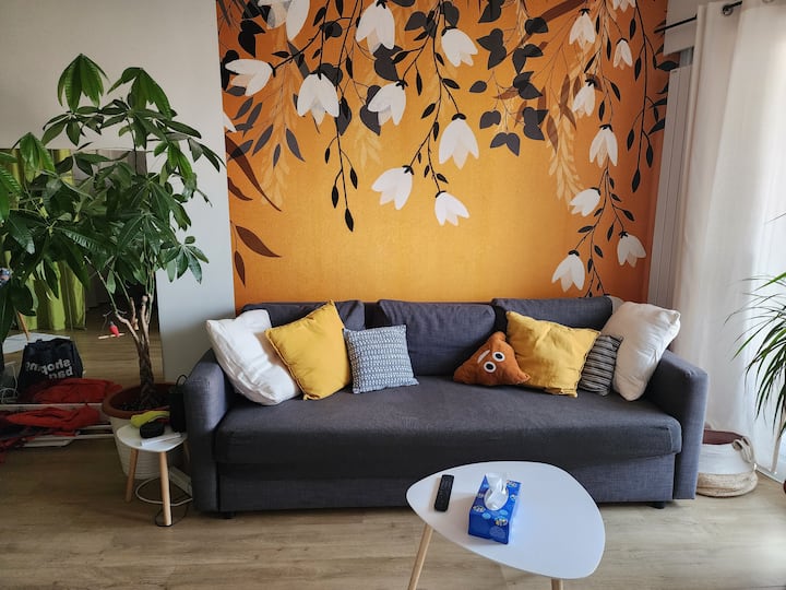 Appart 43m2 Centre/sud Paris - Paris