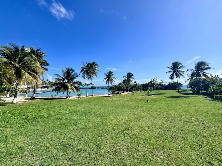 Appart Paradisiaque Pieds Dans L'eau - Guadeloupe