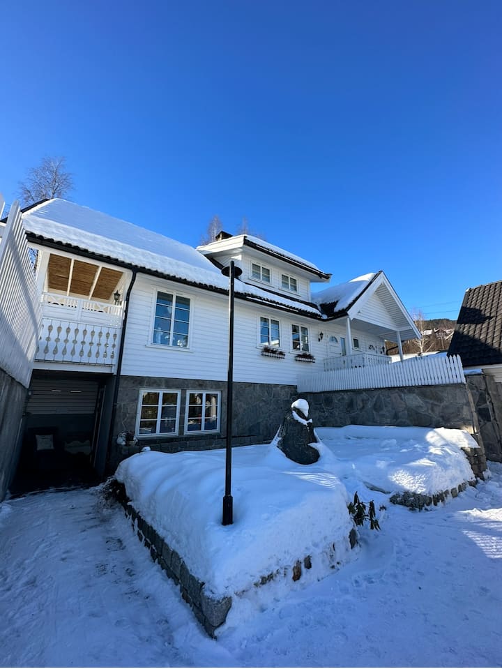 Koselig Leilighet I Boligfelt  I Gol - Gol