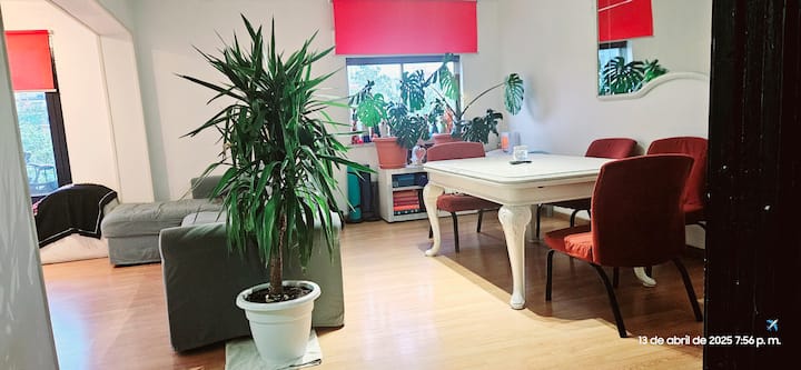 Habitacion Exterior Para 1 Persona Cama Grande - Barcelona