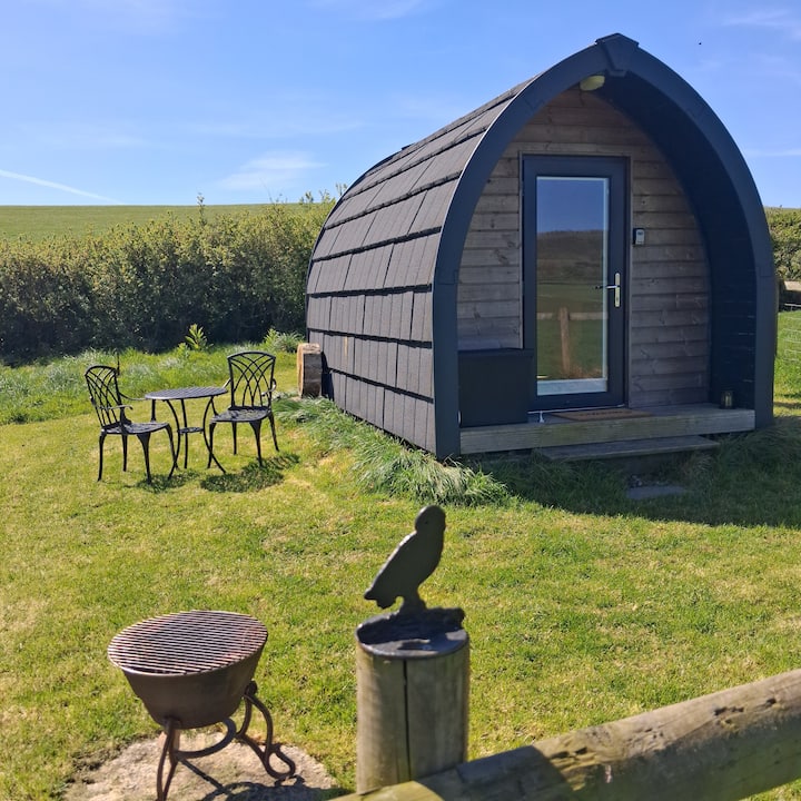 The Owl Pod, East Orchard Farm Glamping. - Corfe Castle
