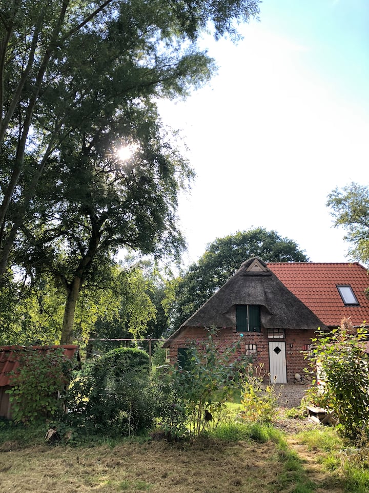 Ferienhaus Bei Eckernförde - Sehestedt