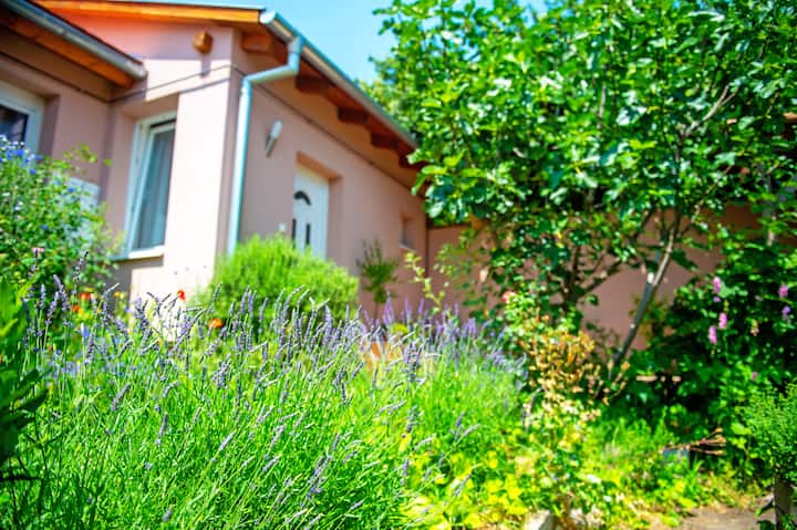 Ginkgo Vendégház Pécs - Pécs