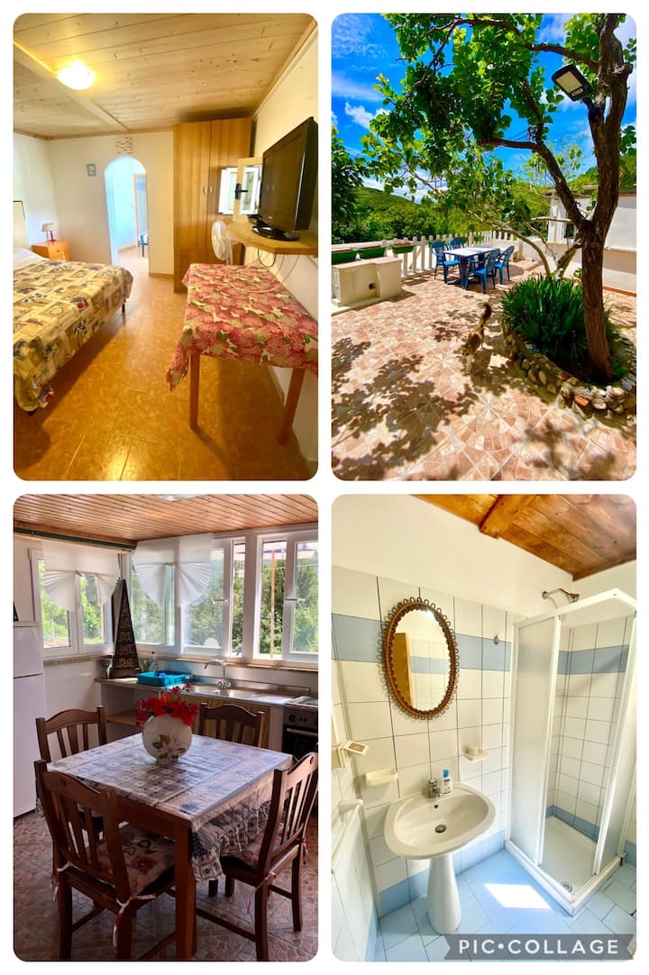 “ Il Fico” Casa Con Giardino - Ponza