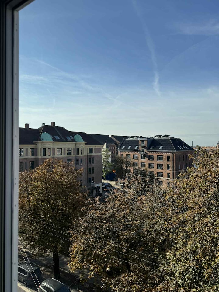 Lejlighed 500 Meter Til Valby St - Copenhague
