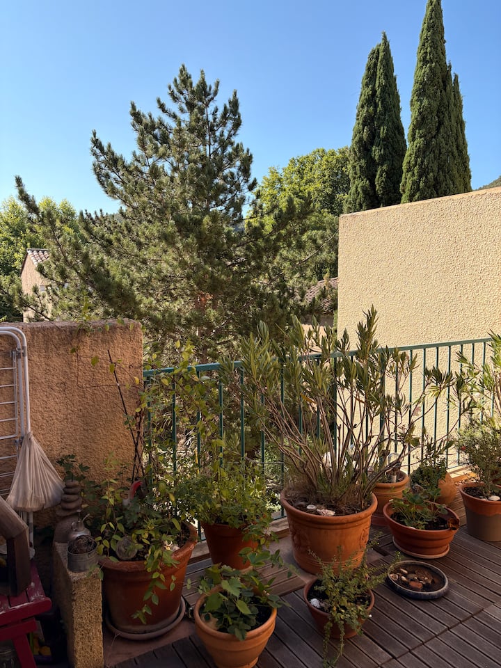 Appartement Cosy Avec Terrasse - Le Tholonet