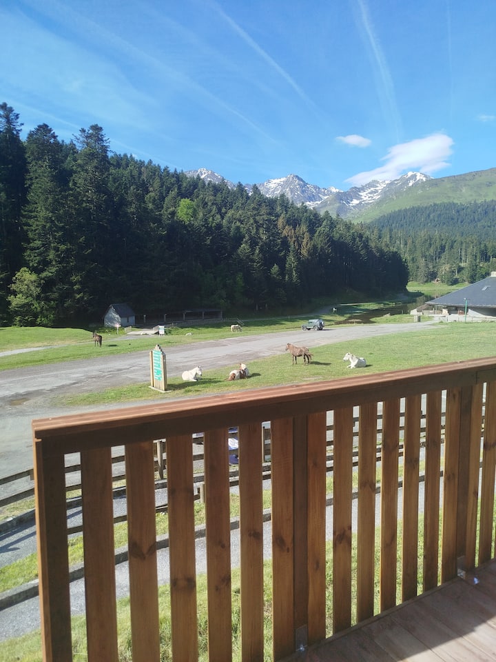 Appartement Vue Lac De Payolle - Pirineos