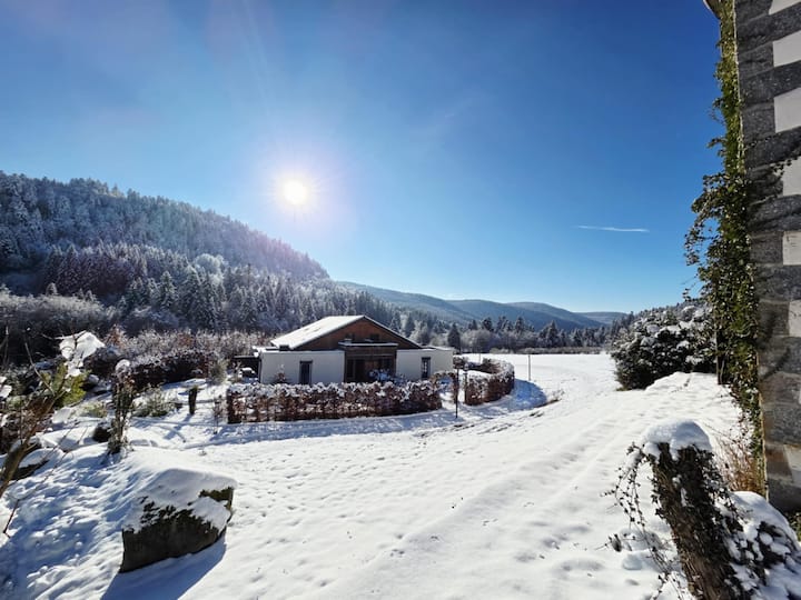 La Tramontane -Duplex 2, 3 Ou 4 Chambres, Jacuzzi - La Bresse